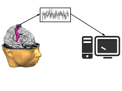 Μετακίνηση κέρσορα μέσω Bci Ψυχολογείν