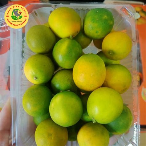 Jual Jeruk Honey Kimkit Jeruk Manis Bisa Dimakan Kulitnya Jakarta Timur Buah Bisa Sehat