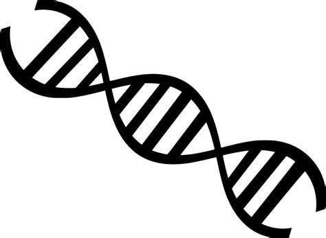 Svg Double Dna Microbiology Rna Free Svg Image And Icon Svg Silh