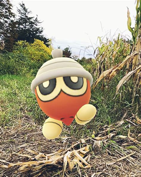 Acorn The Shiny Seedot Shiny Pokemon Amino Amino