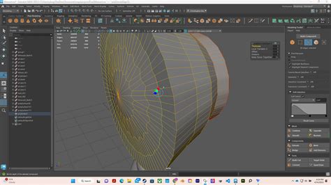 Why Is My Transform Tool So Tiny Rmaya