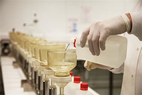 Importance Of Detecting Pathogens In Water