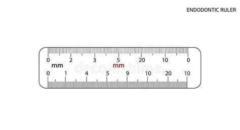 Millimeter Measurements Stock Illustrations 297 Millimeter