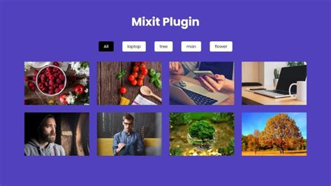 Md Rasel Hossain On Linkedin How To Use Jquery Mixit Up Plugin With Html Css Html Css Mix It Up