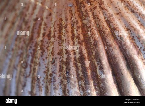 Rusty Metallic Photo Wallpaper Shabby Metal Background With Traces Of Rust Ribbed Metal Rusty