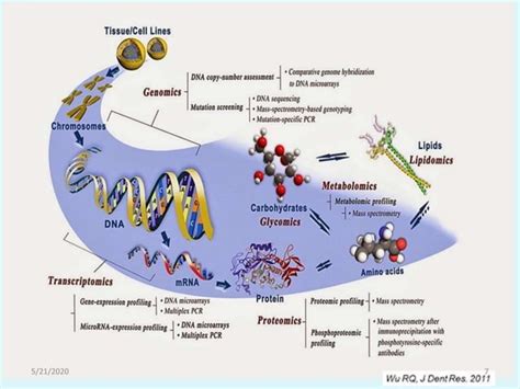 Bioinformatics Applications And Challenges Ppt