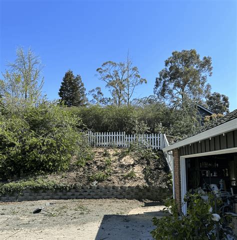 Had To Take Down A Tree Now My Sideyard Looks Empty What Would You Put In There R Landscaping