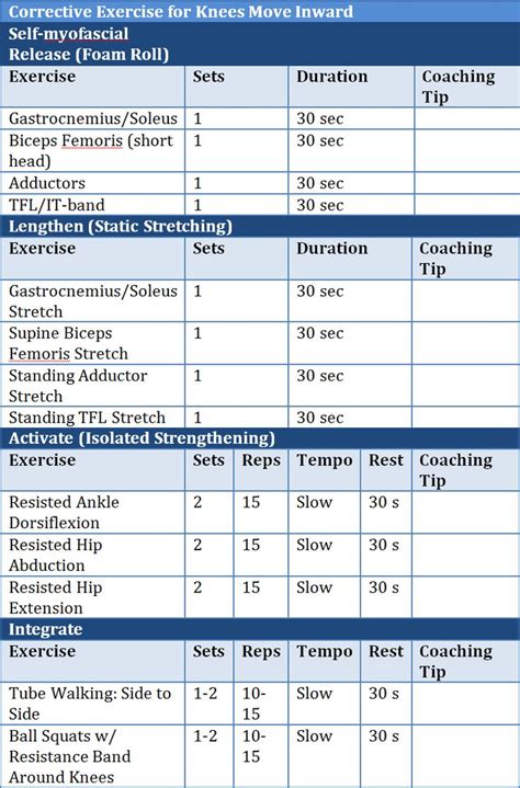 Nasm Daily Exercise Template