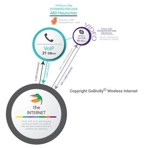 Amount Of Data And Bandwidth Needed For Voip Gobrolly Internet