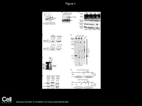 Volume 15 Issue 1 Pages July 2004 Ppt Download