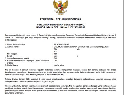 Contoh NIB PT Perorangan Cara Mendapatkannya Mudah Jasa NPWP