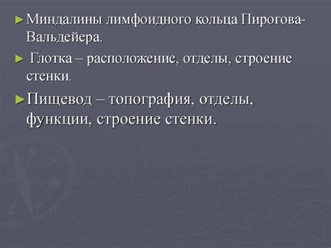 Анатомия и физиология органов полости рта глотки и пищевода презентация онлайн