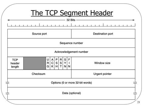 Ppt Cs 313 Introduction To Computer Networking And Telecommunication