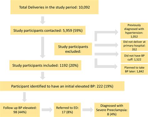 Implementation Of A Universal Postpartum Blood Pressure Monitoring Program Feasibility And