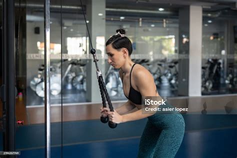 케이블 머신에서 삼두근 푸시다운 운동을 수행하는 여성 운동선수 현대 피트니스 시설에서 근력 운동 중 집중 20 29세에 대한 스톡 사진 및 기타 이미지 Istock