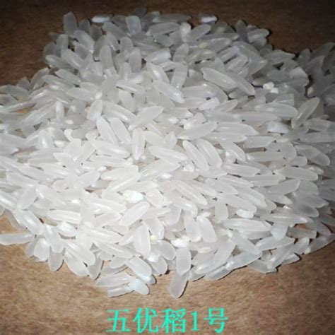 香米散装东北第2页大山谷图库