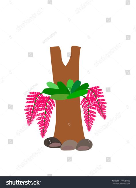 Kopou Phool Photos Images And Pictures