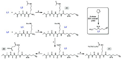Synthesis Of Diazirine Based Abps A Pybop Dipea Dmf 85 B