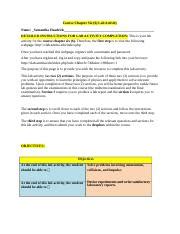 Lab 6 Docx Course Chapter Six 6 Lab Activity Name Samantha Headrick DETAILED INSTRUCTIONS FOR