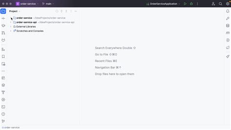 Open Multiple Projects Jetbrains Guide