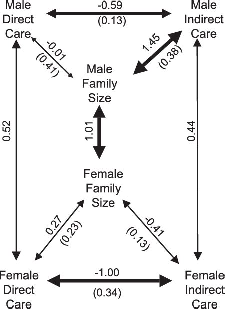 Phenotypic Correlations Between Parental Traits Within A Sex A Download Scientific Diagram