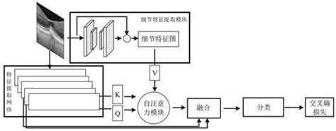 基于全局细节补充的卷积神经网络的图像识别方法及系统