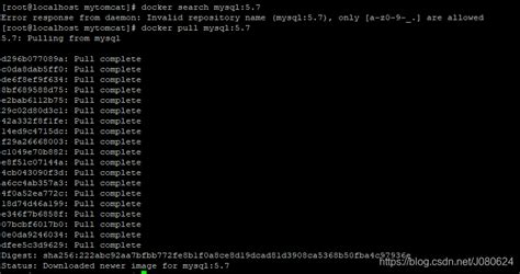 Docker下安装MySQL 阿里云开发者社区