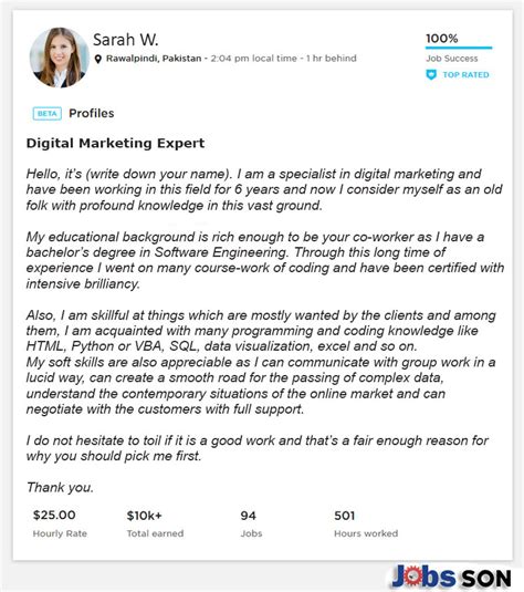 Upwork Profile Overview Sample For Digital Marketing