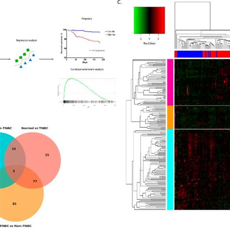 A Schematic Workflow Diagram Of The Integrative Analysis Of Mrna And Download Scientific