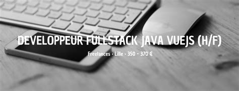 Développeur Fullstack Java Vuejs Hf Insitoo Lille Mission