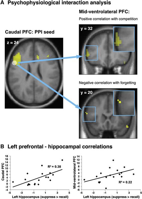 Connectivity Analyses Reveal The Importance Of A Left Prefrontal