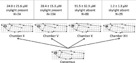 Cartesian Transformation Grids That Depict The Deviation Of The