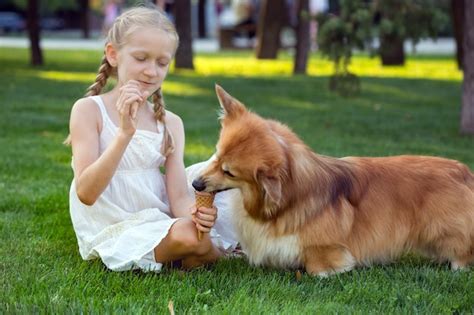 Premium Photo Girl And Dog