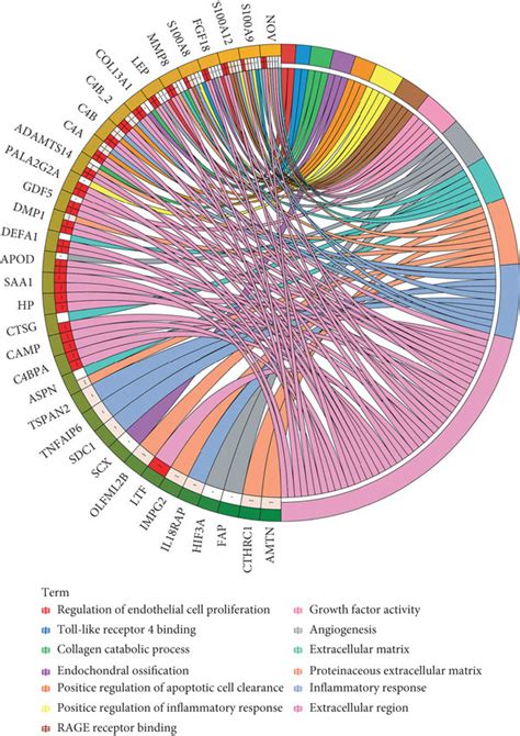Protein Protein Interaction Ppi Network Analysis Of Degs A Ppi
