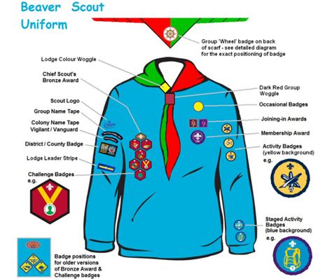 Badges And Uniform 1st Witley Scout Group