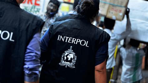 How Much Interpol Agents Make ️ Interpol Salaries