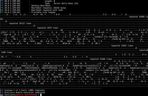 Ssl And Tls Testing Guide Aptive