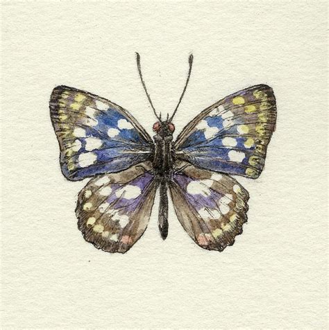 Ayana Painter Profile OpenSea