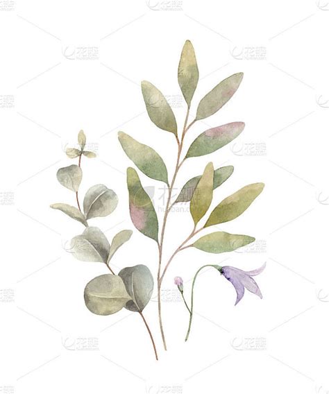 水彩矢量花束与野花和叶子孤立在白色的背景手绘插画海报墙壁艺术装饰贺卡婚礼请柬和更多