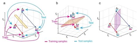 Cosyne 2020 Impressions Catnip Neural Dynamics Lab Computational
