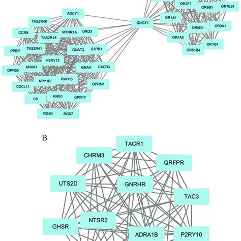 Top 2 Primary Modules Of Ppi Sub Network By Plug In Mcode In Cytoscape Download Scientific