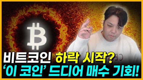 비트코인 하락 개미들의 마지막 매수 기회 모스코인 스페이스아이디 솔라나코인 리플 헌트코인 Youtube