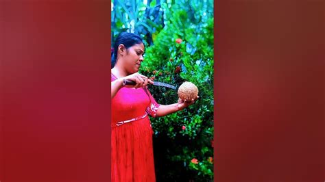 Srilanka කිරි ආප්ප හදමුද Milk Hopers 😋😋😋🥵🥵 Srilanka Food Srilankanstyle Recipe Youtube