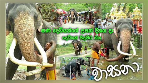 ඝණ දෙවියන්ගේ උපන් දිනදා ඝණ දෙවියන් නැමදීමට ගිය වාසනා Kataragamawasana Youtube