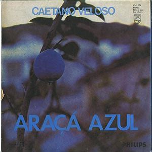 Caetano Veloso Araca Azul Lp Philips 1973 ブラジルオリジナル盤 Vgvg