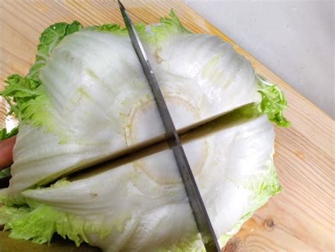 배추 절이는 법 김장 배추 쉽게 절이는 법소금 비율과 배추 절이는 시간 네이버 블로그