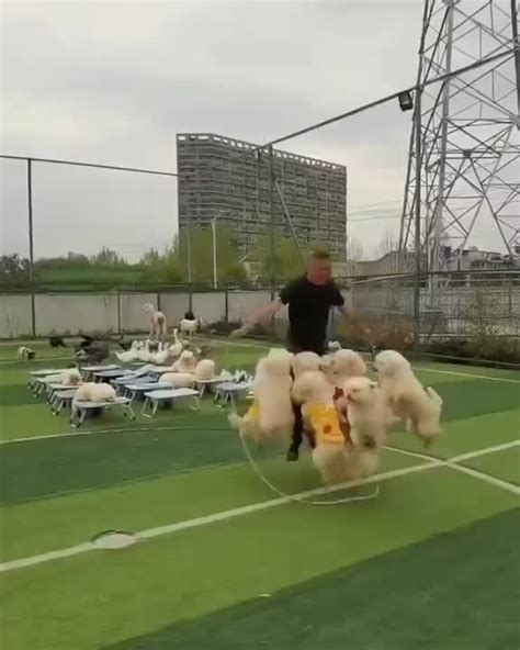 Video Priyanka Kakkar On Linkedin Inspirational