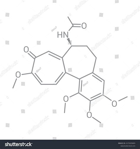 Chemical Structure Colchicine C22h25no6 Stock Vector Royalty Free 2175978405 Shutterstock