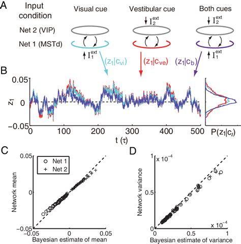 Two Coupled Networks Implement Nearly Bayesian Inference A The Download Scientific