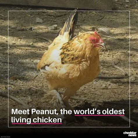 Hakim Uk On Linkedin Linkden Is Very Much A Business Media Stories Like These Can Be Taken In